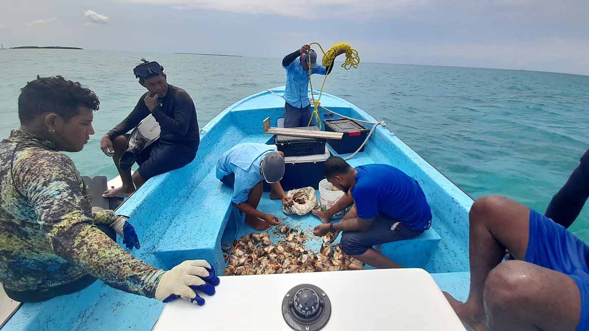 Turneffe Atoll Sustainability Association Blends Tradition with ...