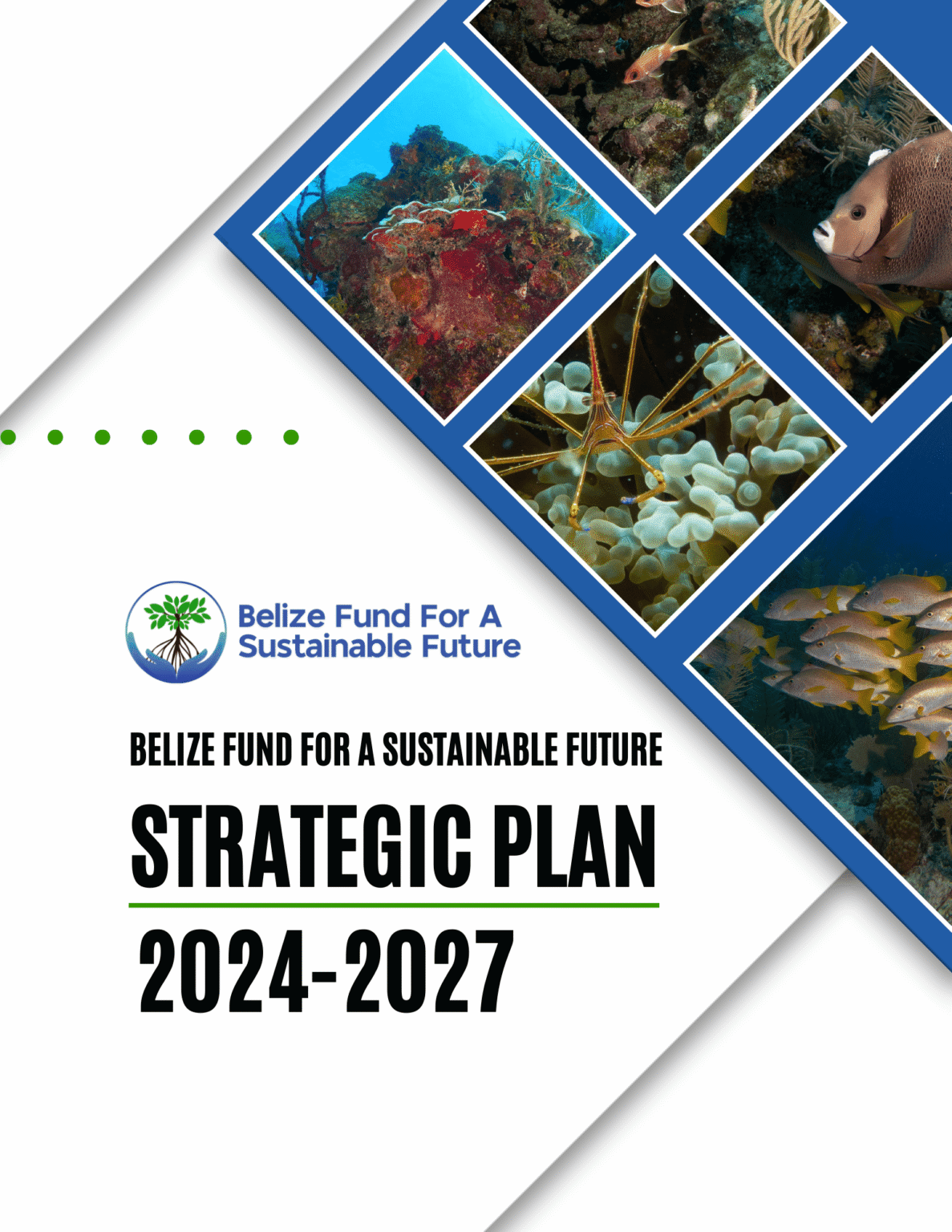 Strategic Plan 2024-2027 - The Belize Fund