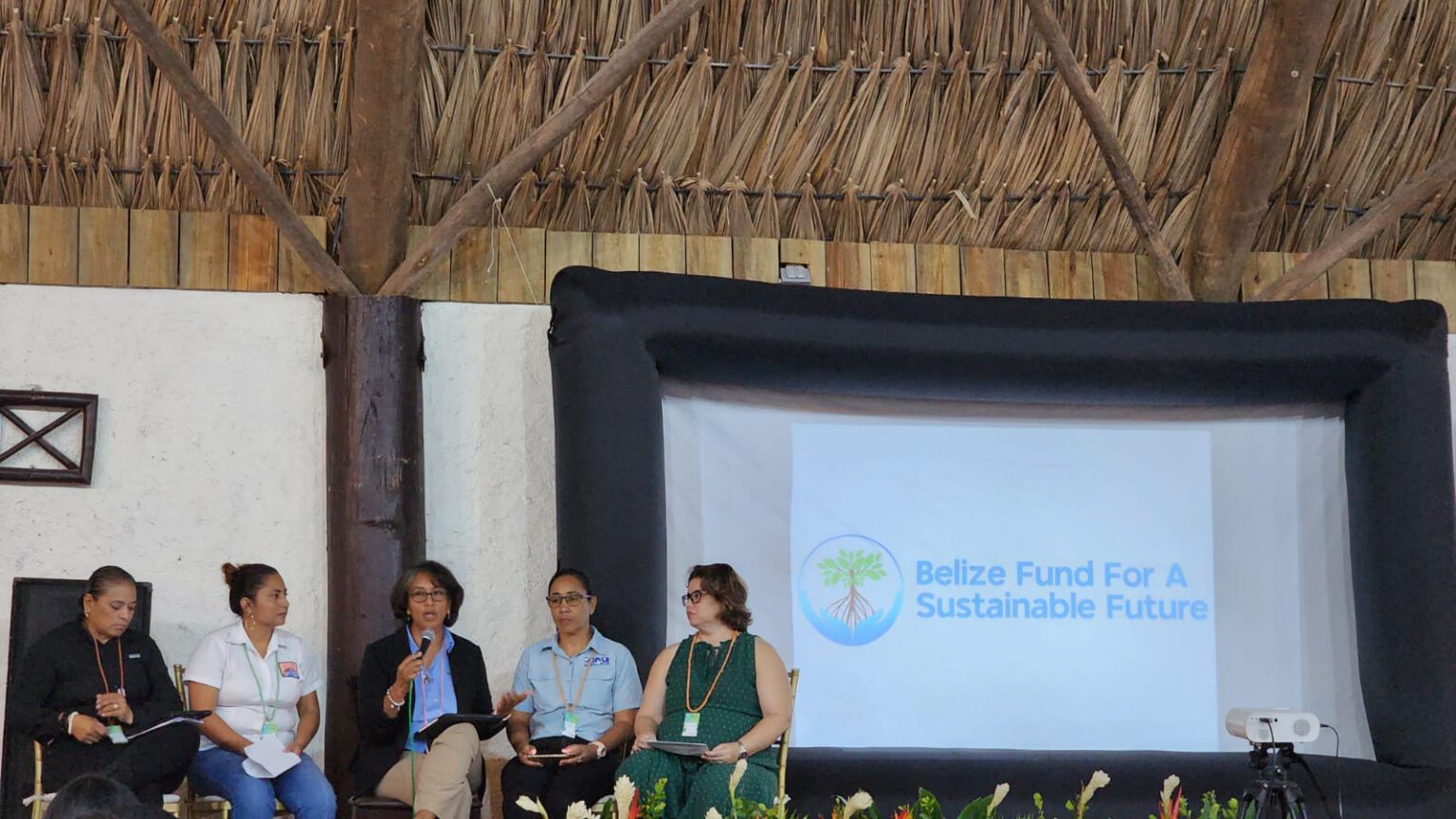 Towards a Vision of a Healthy Ocean through Sustainable Finance ...