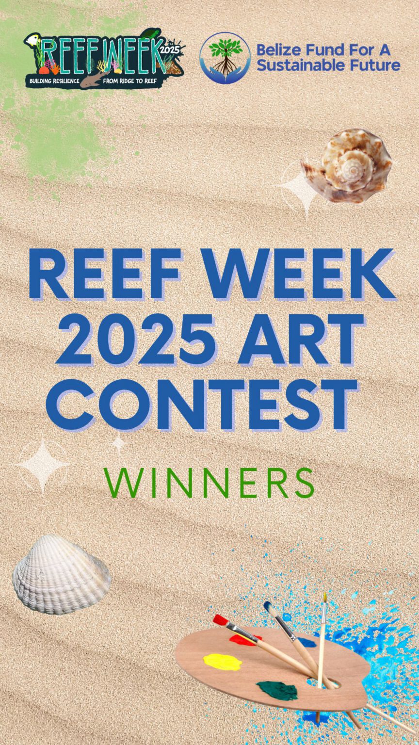 Winners of the Reef Week Art Contest 2025! – The Belize Fund