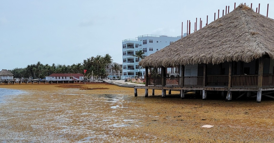 PRESS RELEASE: Belize Fund Awards $250,000 in Emergency Response Grants ...