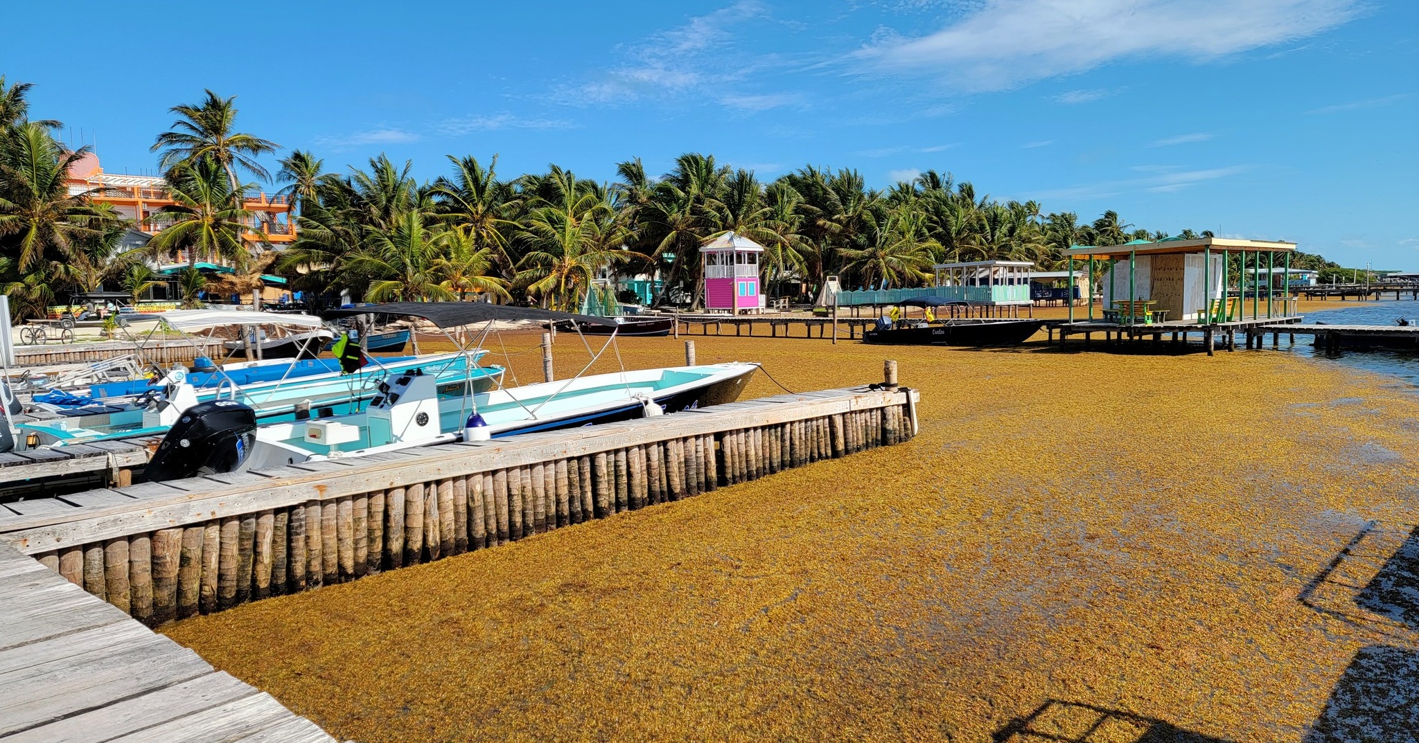 PRESS RELEASE: Belize Fund Awards $250,000 in Emergency Response Grants ...